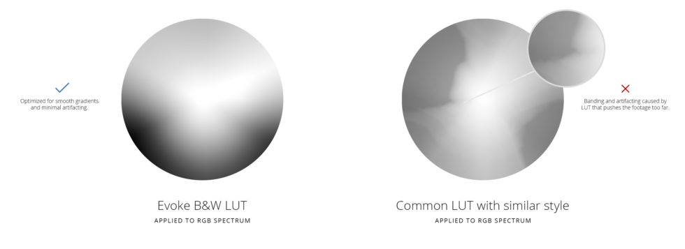 Cinematic LUTs | Lens Distortions